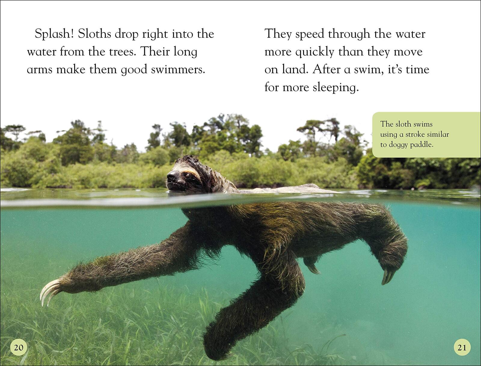Sloths - DK Reader - Dorling Kindersley (9780241379264) Educational ...