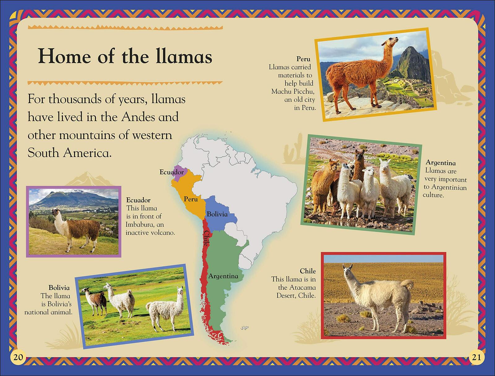 Llamas - DK Reader - Dorling Kindersley (9780241379295) Educational ...