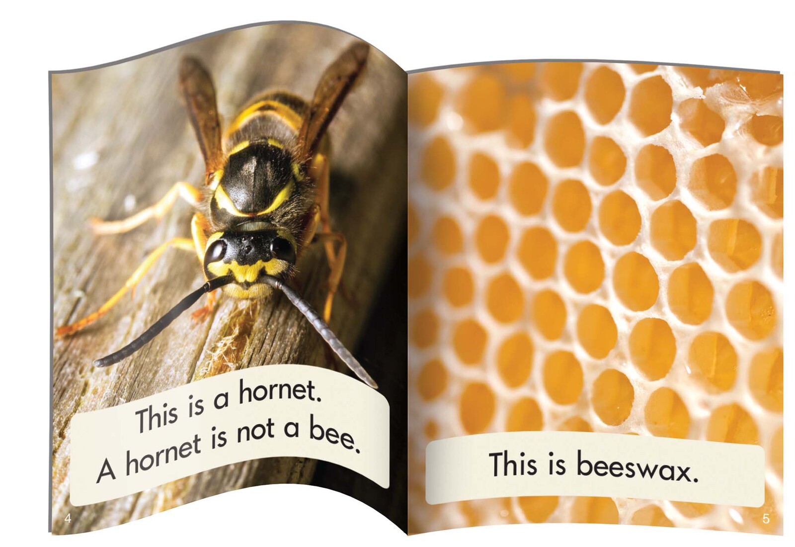 Science Decodables Phase 3 Non-Fiction - 6 Pack - Beanstalk Books (JL ...