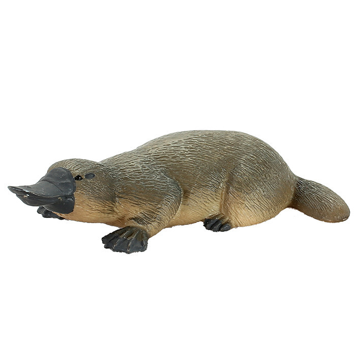Platypus (Small) - Animal Planet by Mojo Educational Resources and ...