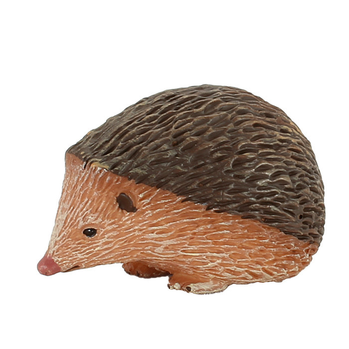 Hedgehog (Small) - Animal Planet by Mojo (410589) Educational Resources ...