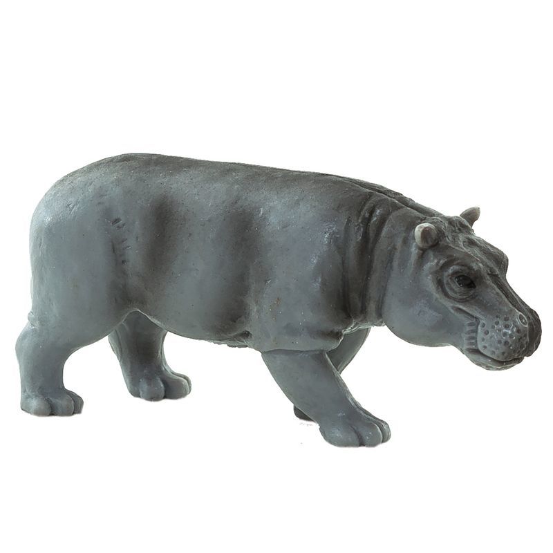 Mini Hippopotamus - Animal Planet by Mojo Educational Resources and ...