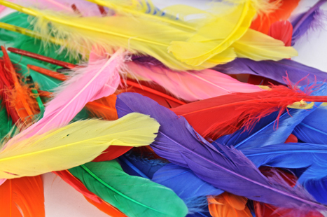 Feathers - Indian Quill: Plain (Pack of 50) - Shamrock (FQU6237 ...