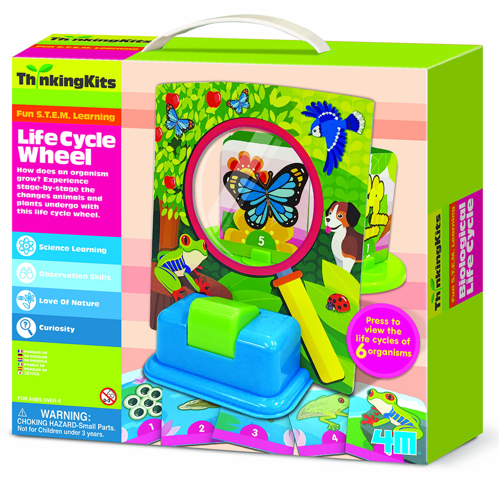 ThinkingKits - Life Cycle Wheel - 4M (JC-FSG4693) Educational Resources ...