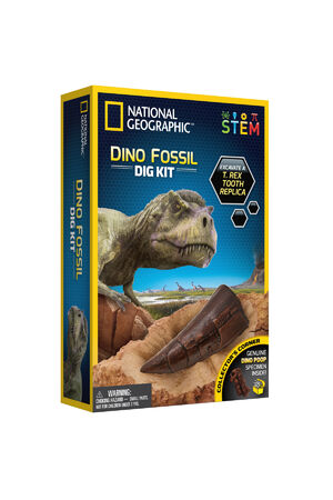 Dino Fossil - Dig Kit - National Geographic Educational Resources and ...