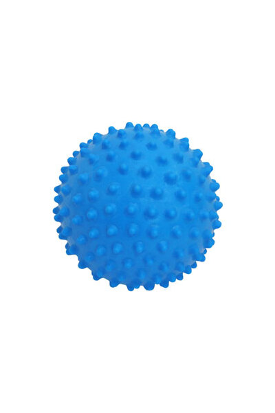Nyda Echidna Ball Large 15cm Blue Rh Sports Rhs Ws621elb Educational Resources And