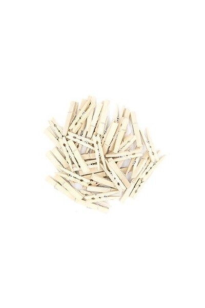Wood Peg w/Spring - Mini: Natural (Pack of 48) - Shamrock (WPG2556 ...