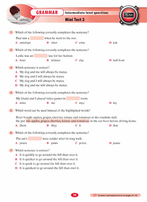 Excel NAPLAN Style Literacy Test Year 3 Pascal Press