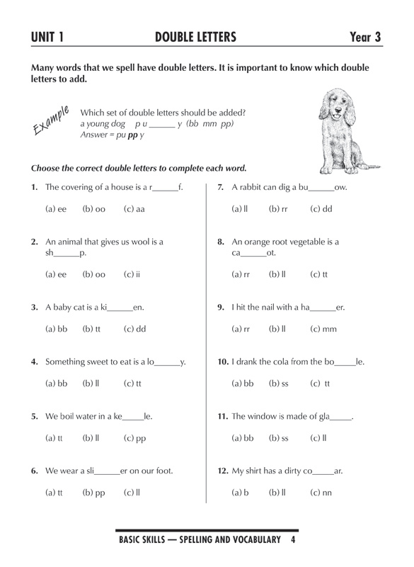 Excel Basic Skills - Spelling and Vocabulary: Years 3-4 - Pascal Press ...