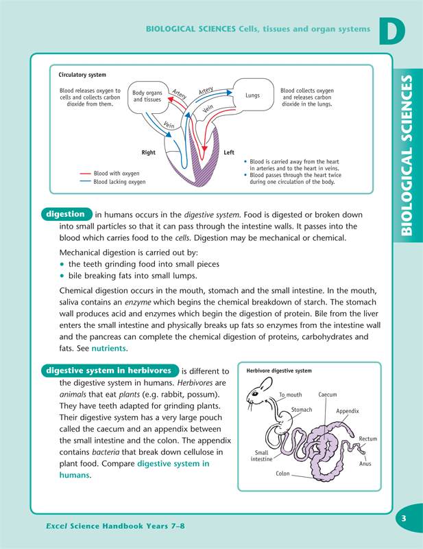 Excel Handbooks - Science Handbook: Years 7-8 - Pascal Press ...
