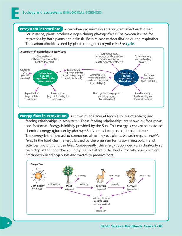 Excel Handbooks - Science Handbook: Years 7-8 - Pascal Press ...