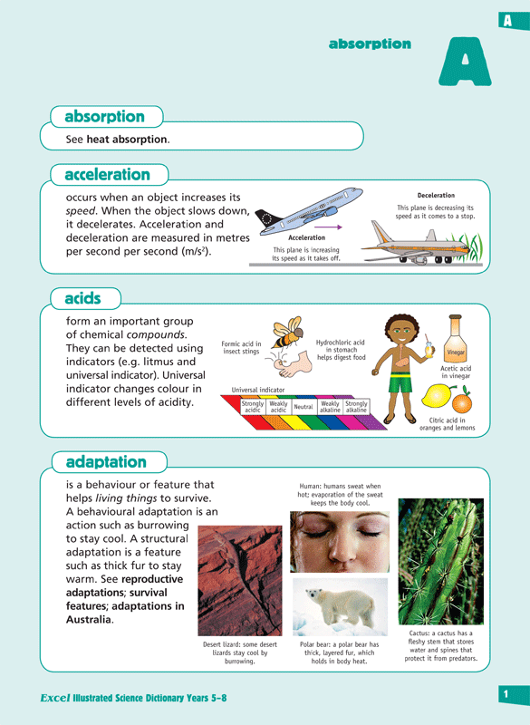 Excel Illustrated Science Dictionary - Years 5-8 - Pascal Press ...